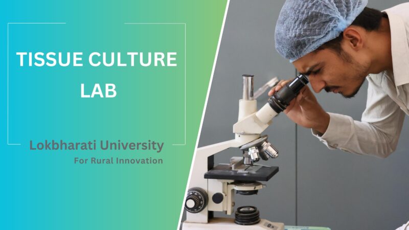 Tissue Culture Lab - Lokbharati University for Rural Innovation - Sanosara
